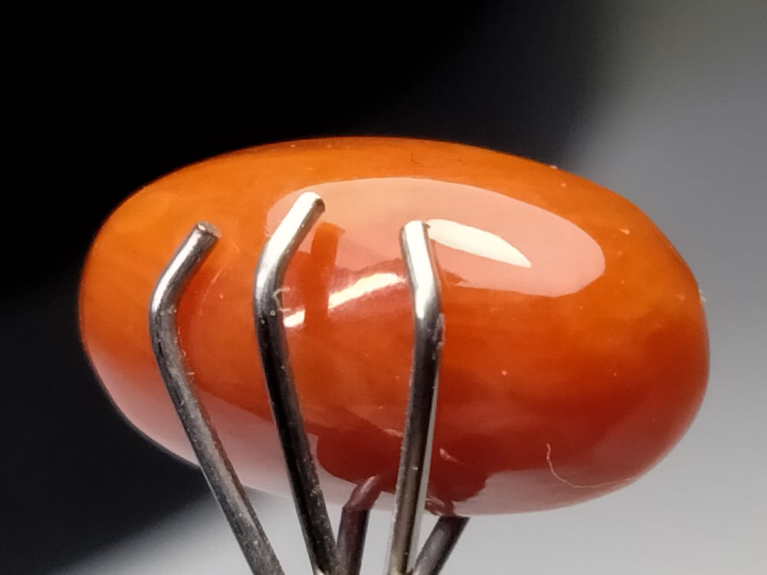 Attractive Natural Elongated Oval Shape Red Coral 2.40 Ct 10.85 X 5.7 X ...