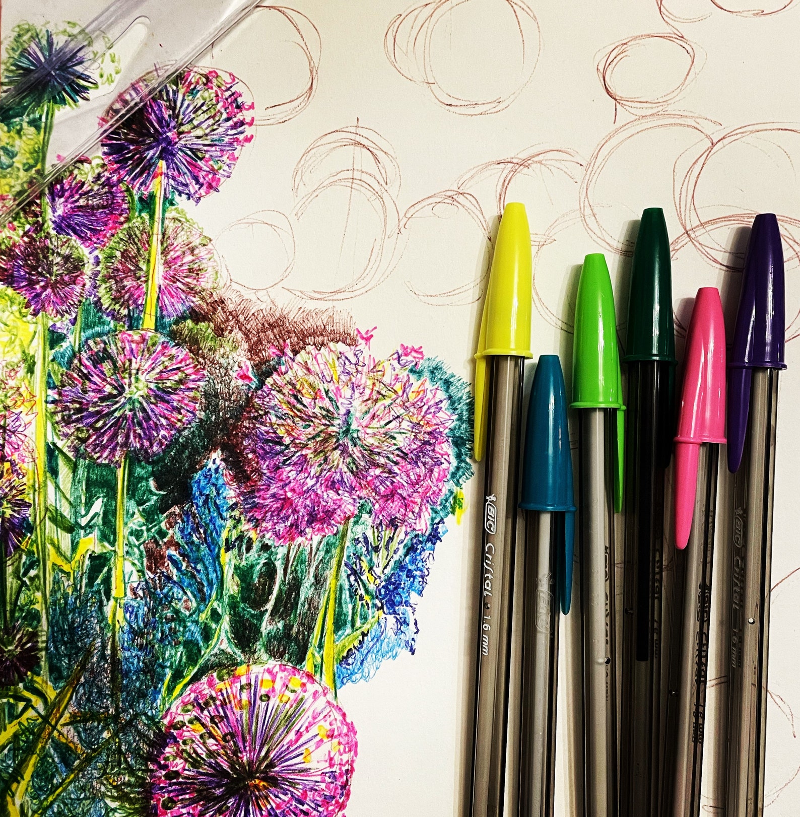 Know Your Alliums, A4 Giclee Print, Alliums, Colourful Biro Drawing ...