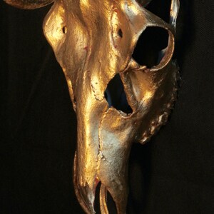 Old Goldie XIII - Etsy