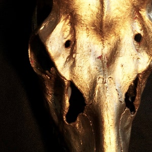 Old Goldie XIII - Etsy