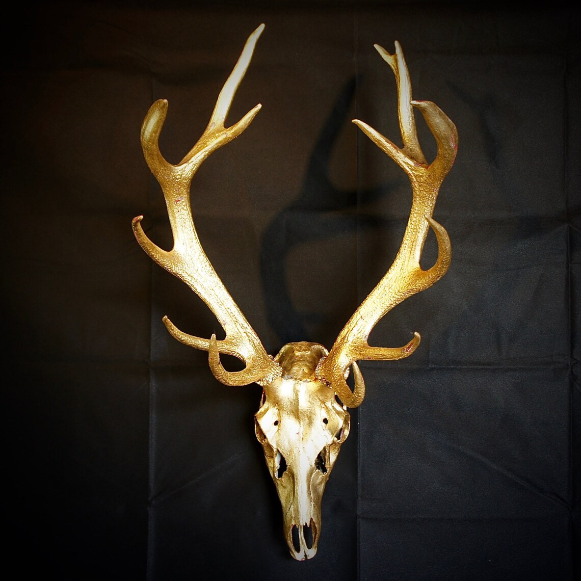 Old Goldie XIII - Etsy