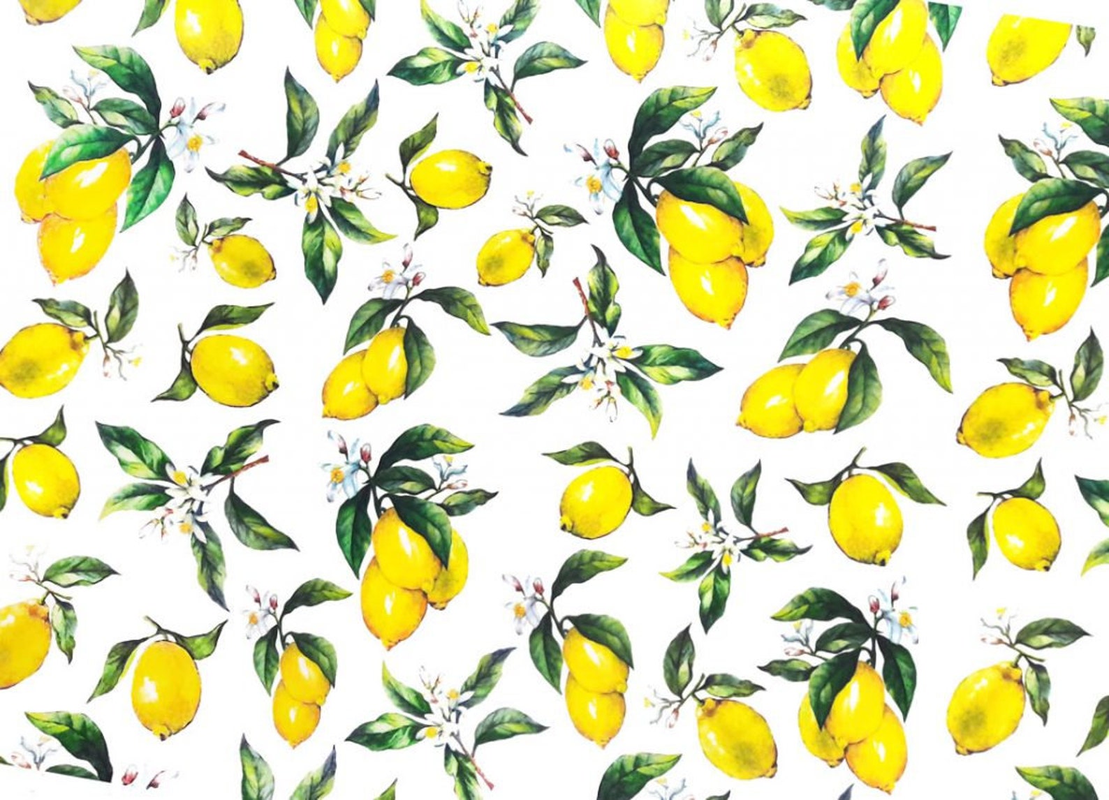 Lemon printed fabric Limon Floral Design Fabric Floral print | Etsy