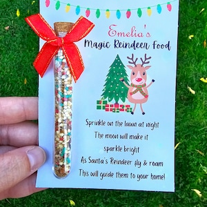 Magic Reindeer Food, Christmas Eve Gift, Reindeer Food, Christmas ...
