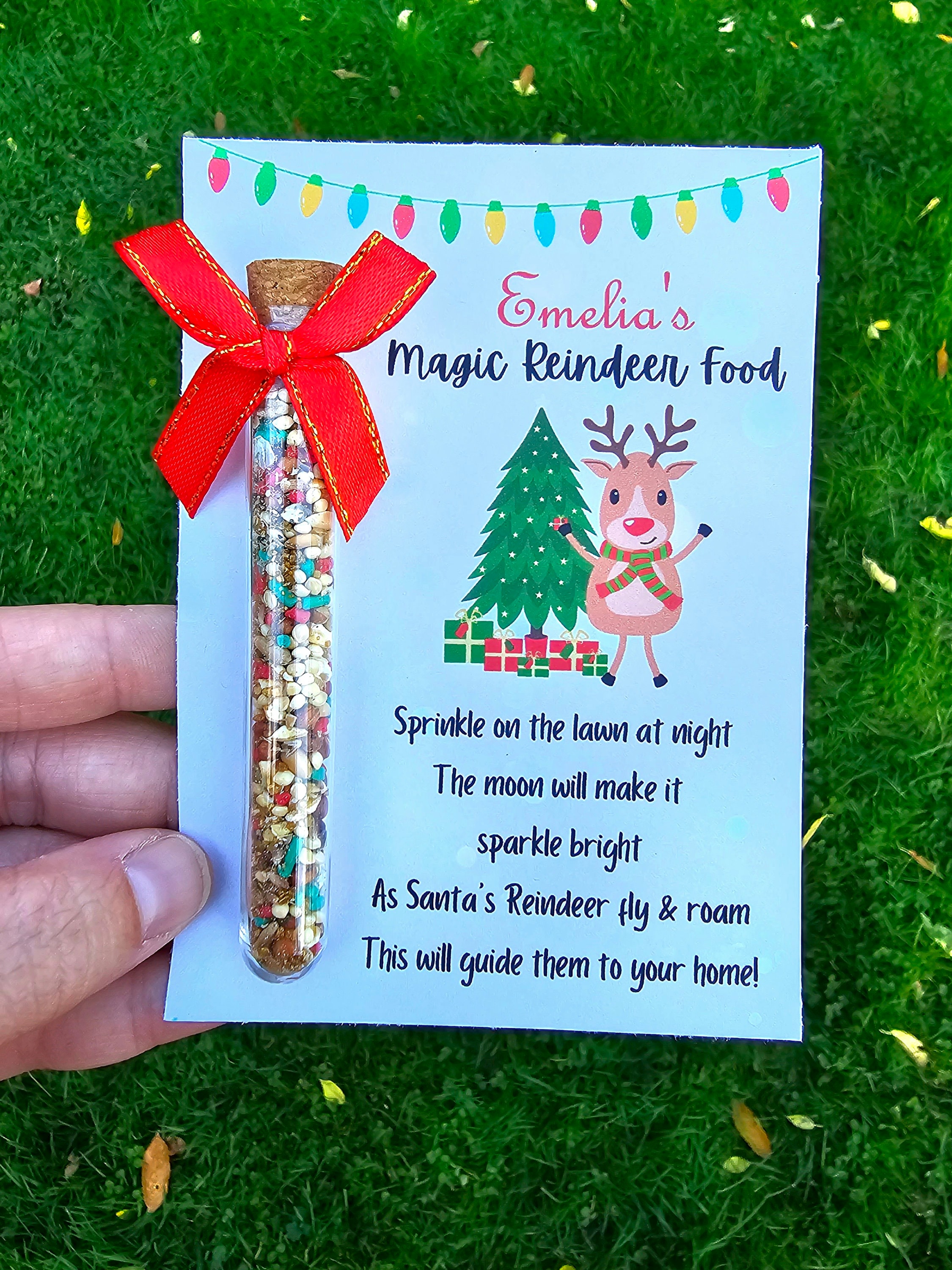 Magic Reindeer Food, Christmas Eve Gift, Reindeer Food, Christmas ...