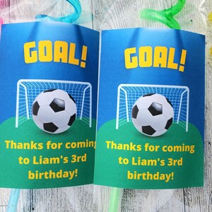 Soccer Birthday Party, Soccer Party Favors, Reusable Straw Favors, Kids ...