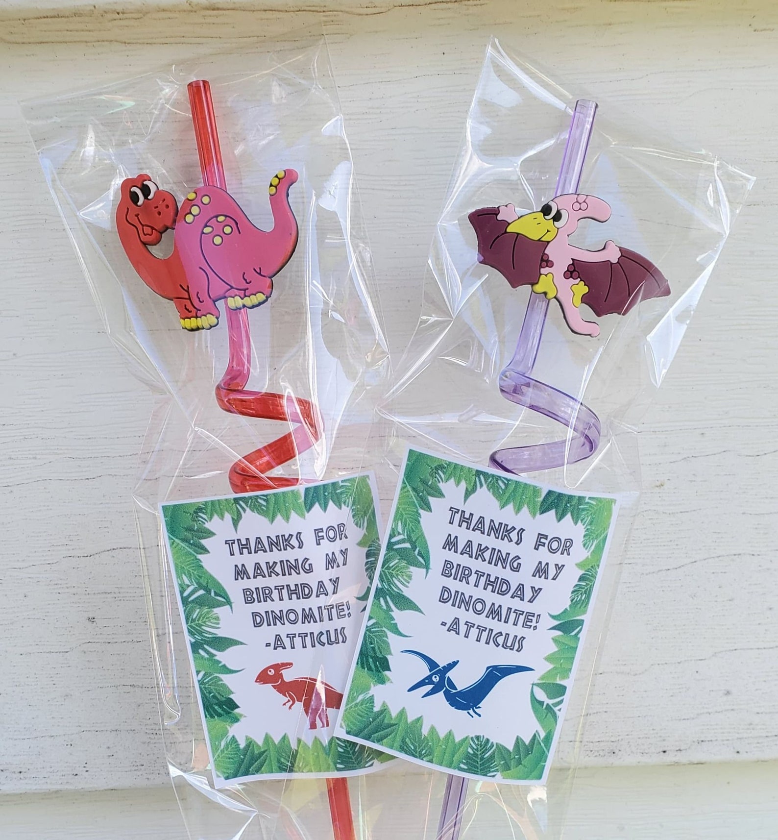 Dinosaur Party Favors, Dinosaur Birthday Party, Dinosaur Birthday ...