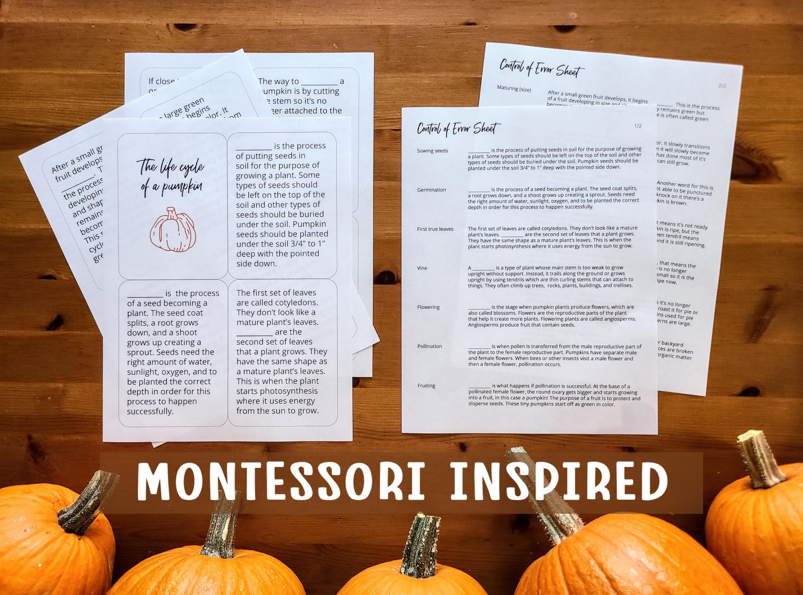 Montessori Life Cycle of a Pumpkin Unit Study for Older Kids of Reading ...