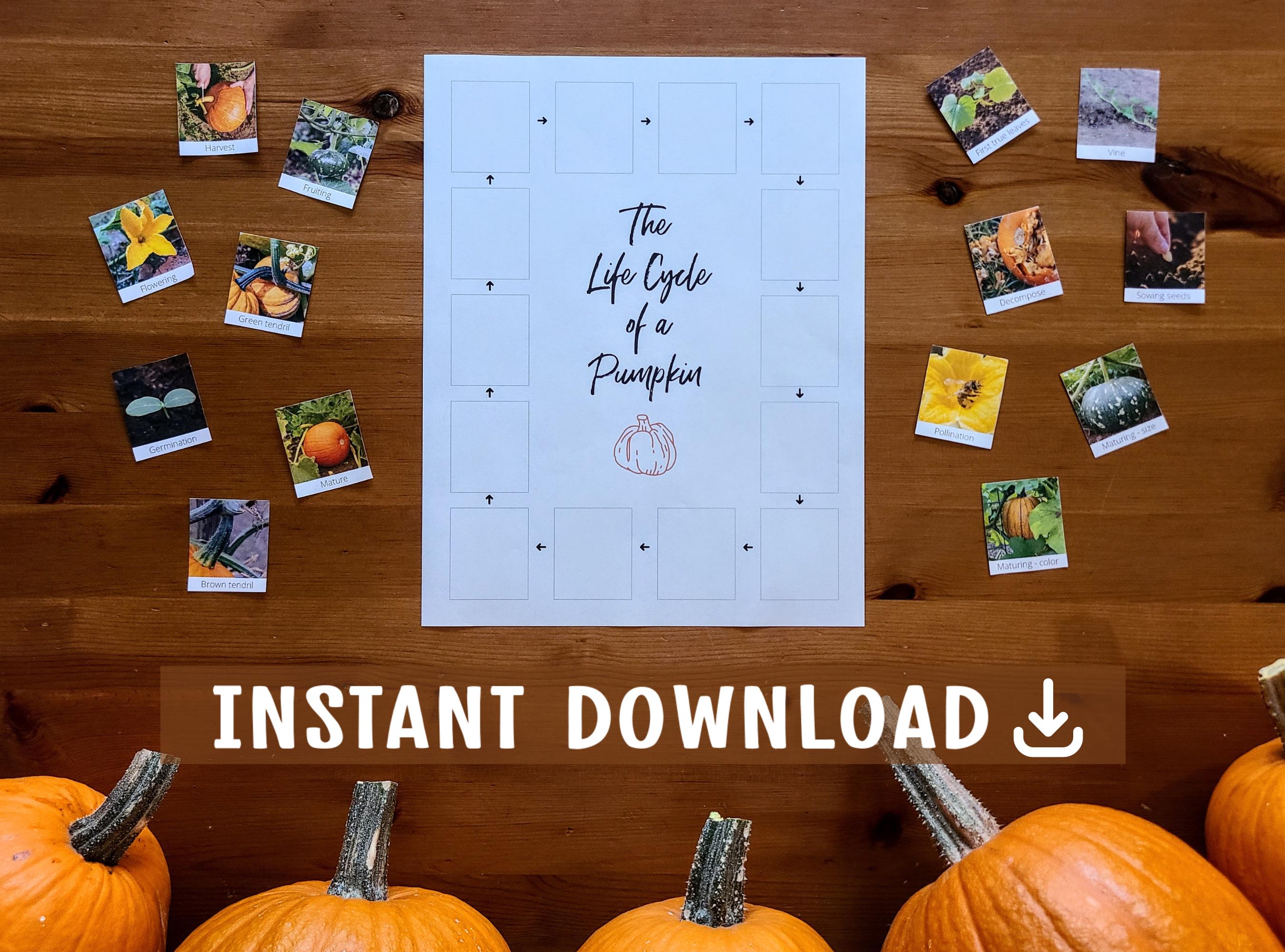 Montessori Life Cycle of a Pumpkin Unit Study for Older Kids of Reading ...