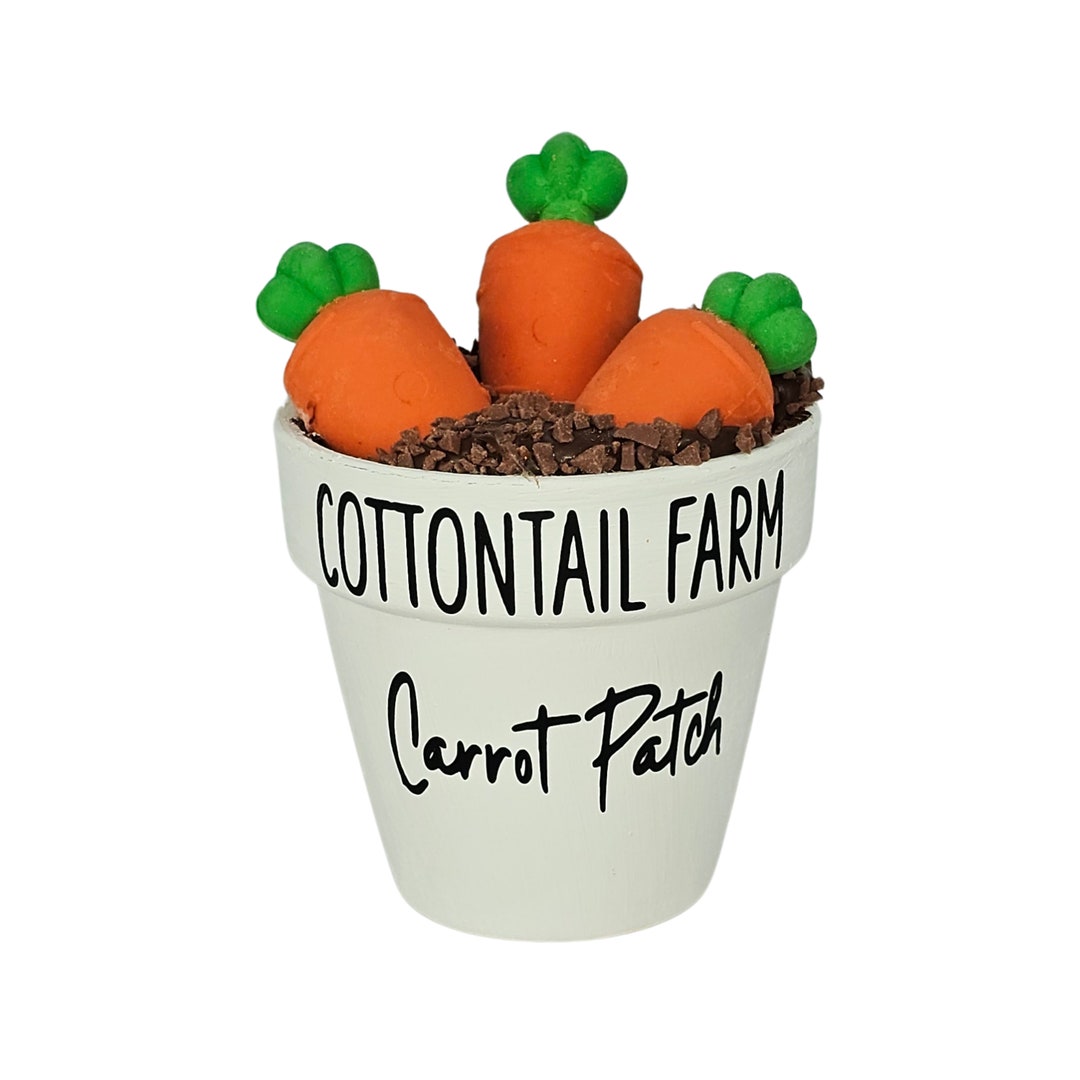 Easter Carrot Patch Tiered Tray Decor, Cottontail Farm Terracotta Pot ...