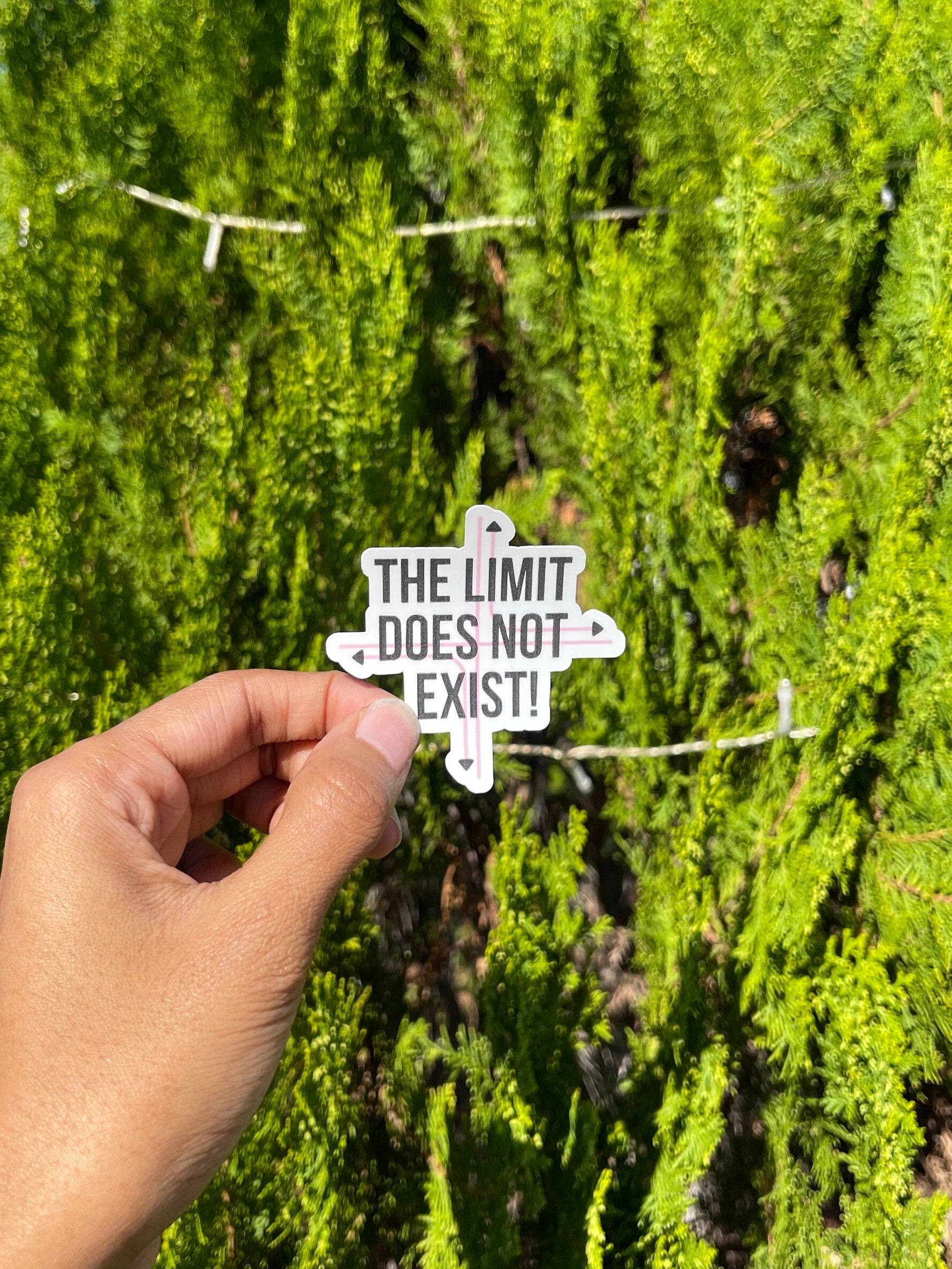 The Limit Does Not Exist Sticker Waterproof Mean Girls - Etsy