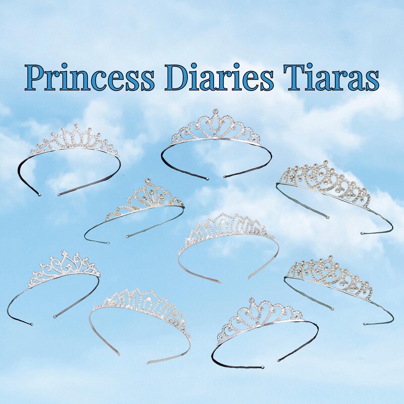 Princess Diaries Costume - Etsy