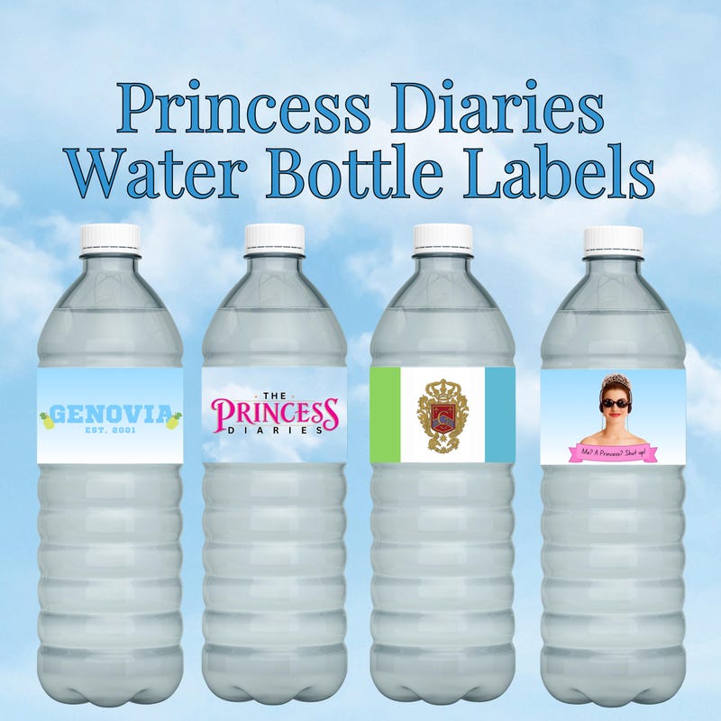 Princess Diaries Cover - Etsy