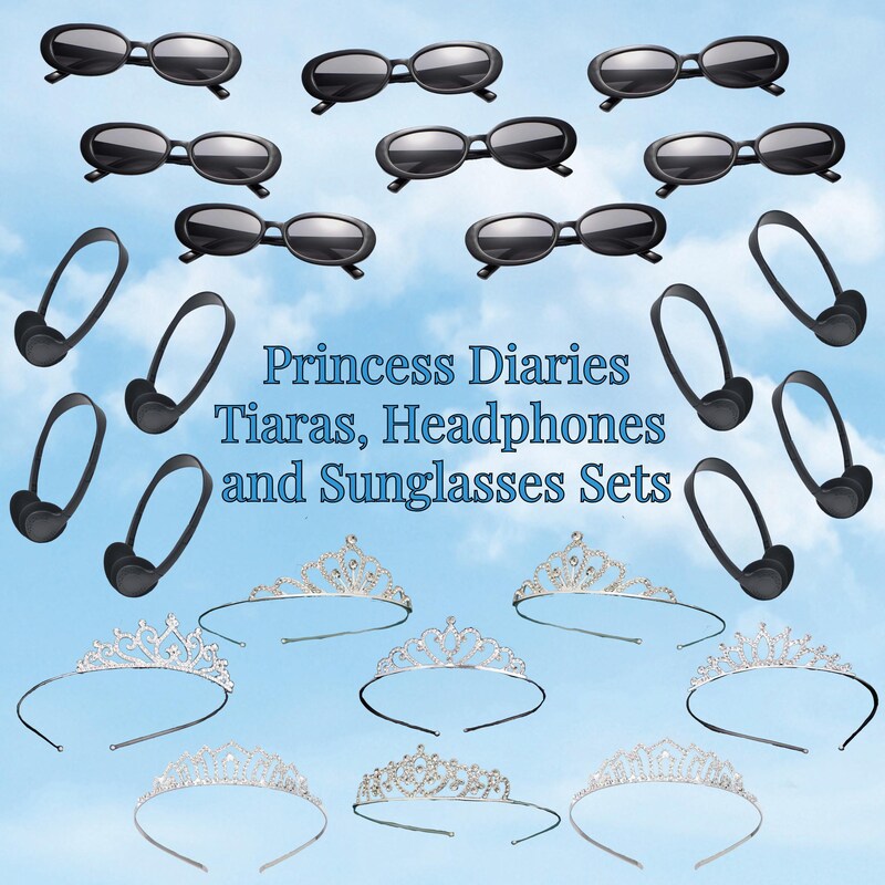 Princess Diaries Costume - Etsy