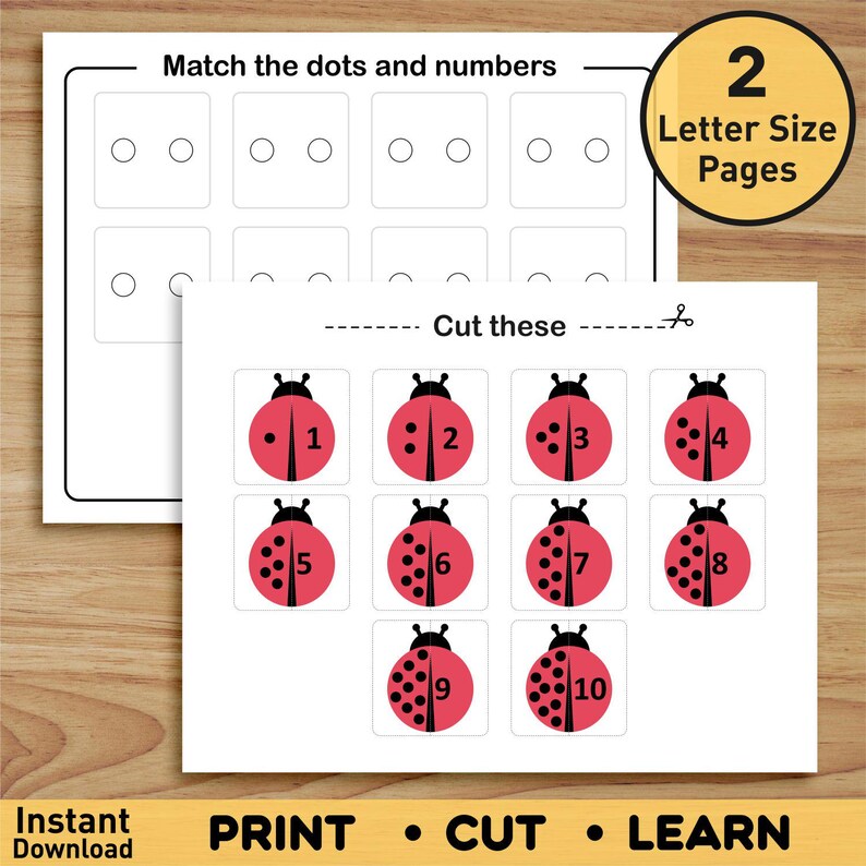 Ladybug Number Matching Game, Homeschool Printable (PDF) - Etsy