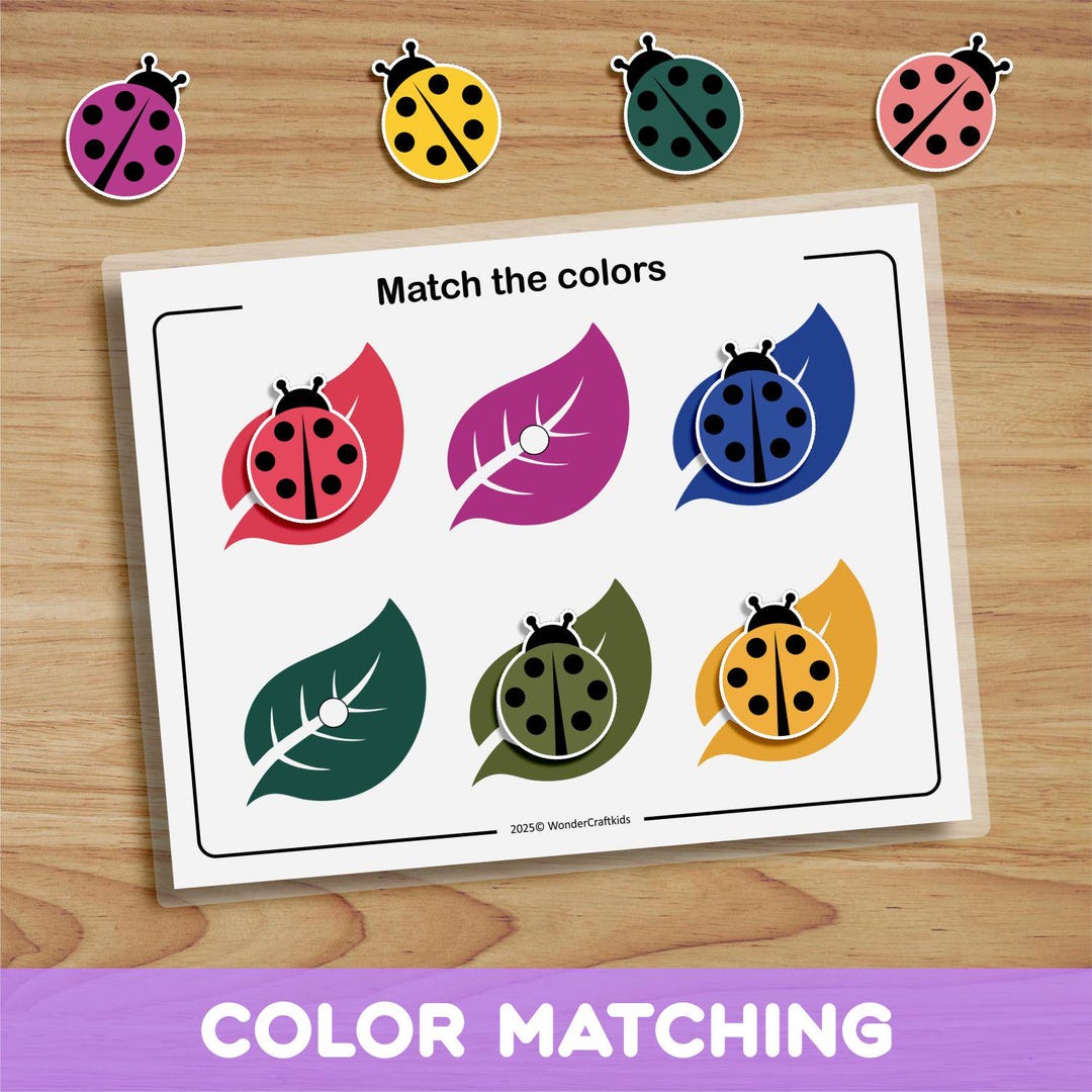 Ladybug Color Matching Activity, Preschool Printable (PDF) - Etsy
