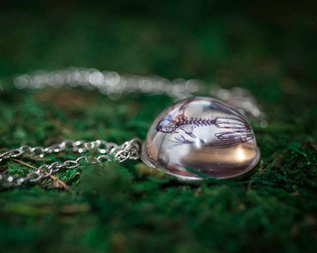 Frog Skeleton Dome Necklace - Medical Illustration - Unique Weird ...