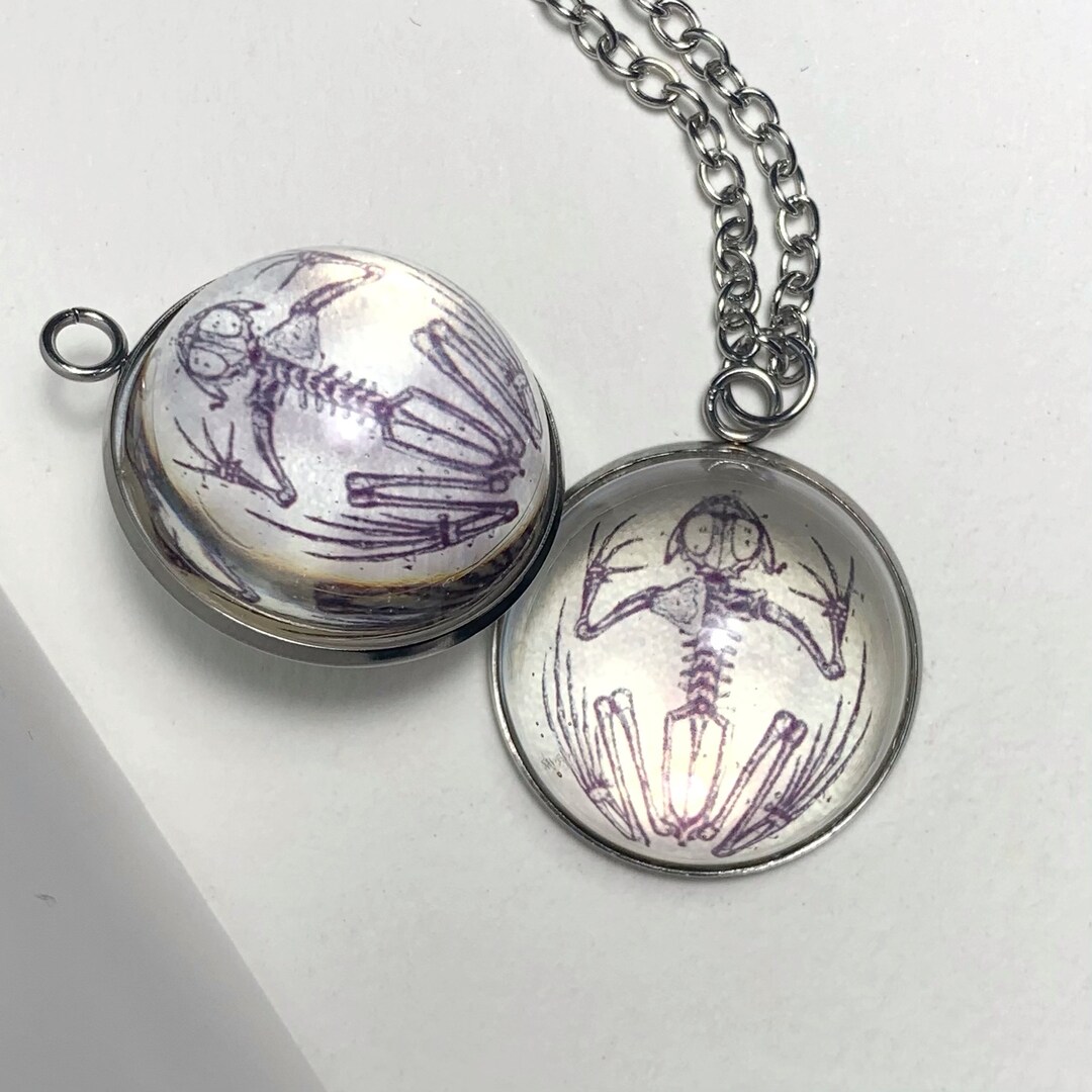 Frog Skeleton Dome Necklace - Medical Illustration - Unique Weird ...