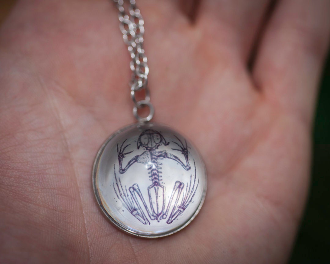 Frog Skeleton Dome Necklace - Medical Illustration - Unique Weird ...