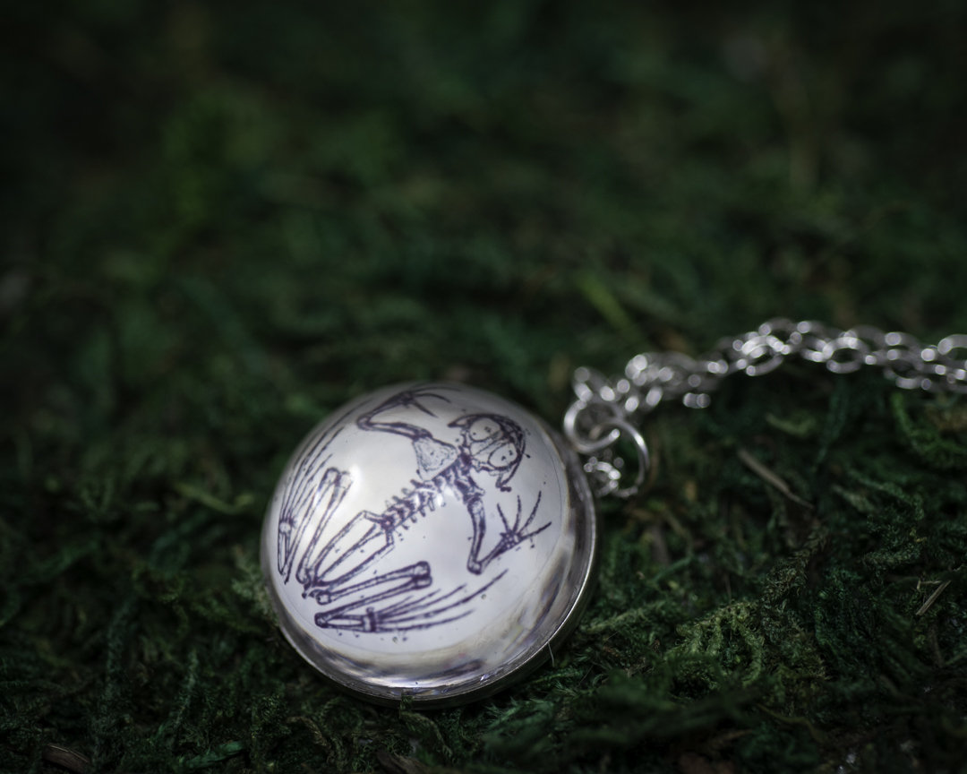 Frog Skeleton Dome Necklace - Medical Illustration - Unique Weird ...
