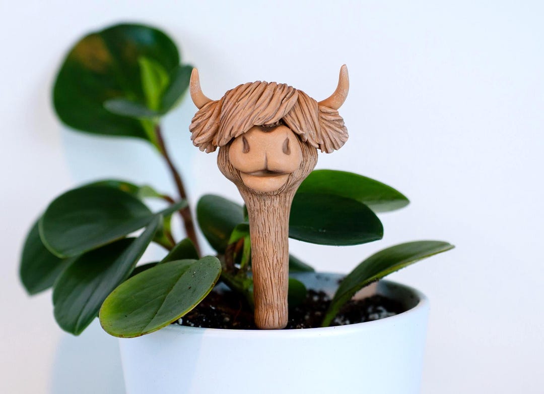 Highland Cow Plant Decoration | Western Farmhouse Style Plant Buddy ...