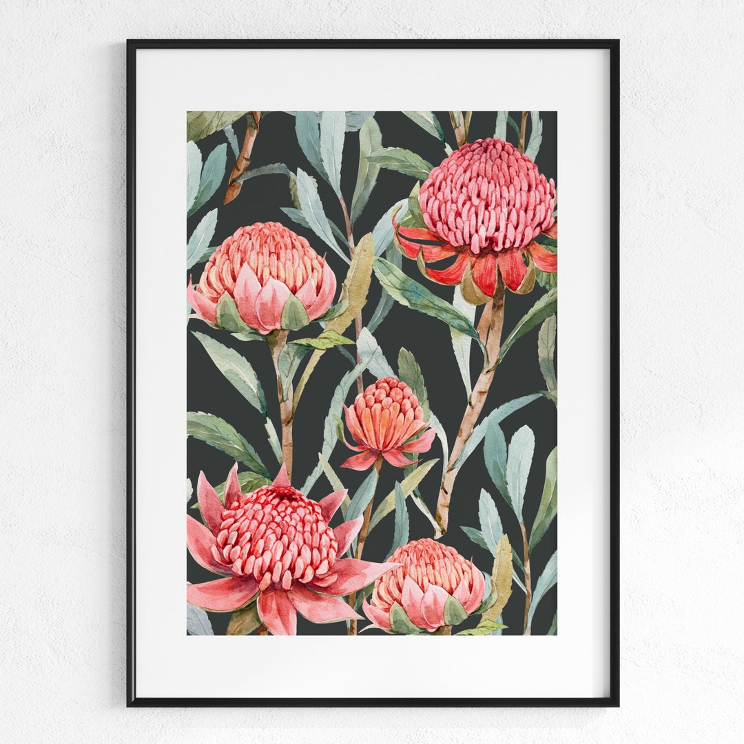Watercolour Protea Flowers Poster Flower Market Print Pink - Etsy