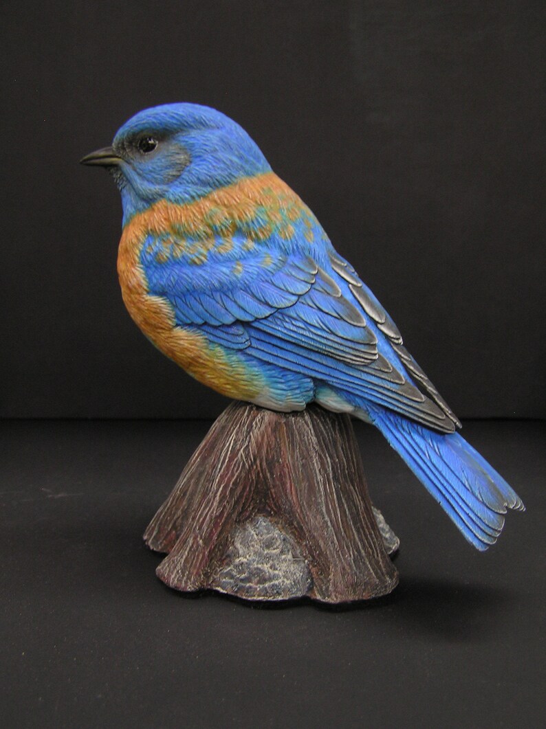 Western Bluebird - Hand Painted - Cold Cast - Bird - Life Size - by ...