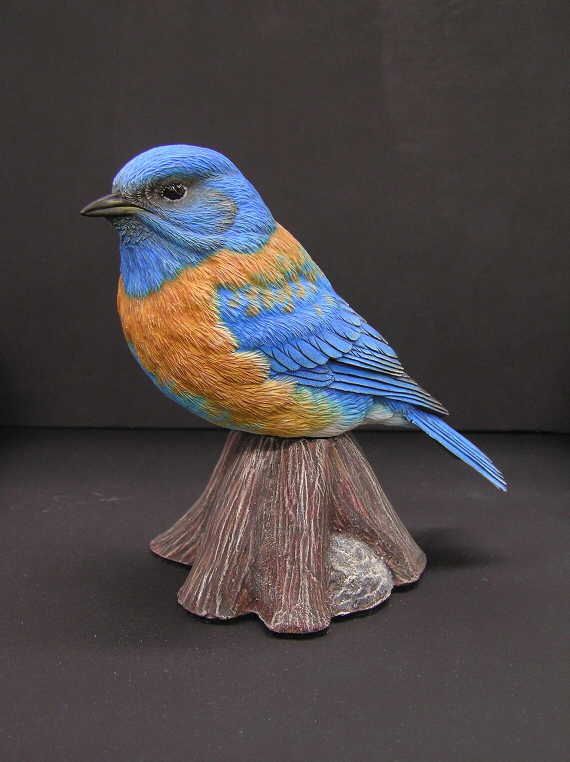 Western Bluebird - Hand Painted - Cold Cast - Bird - Life Size - by ...