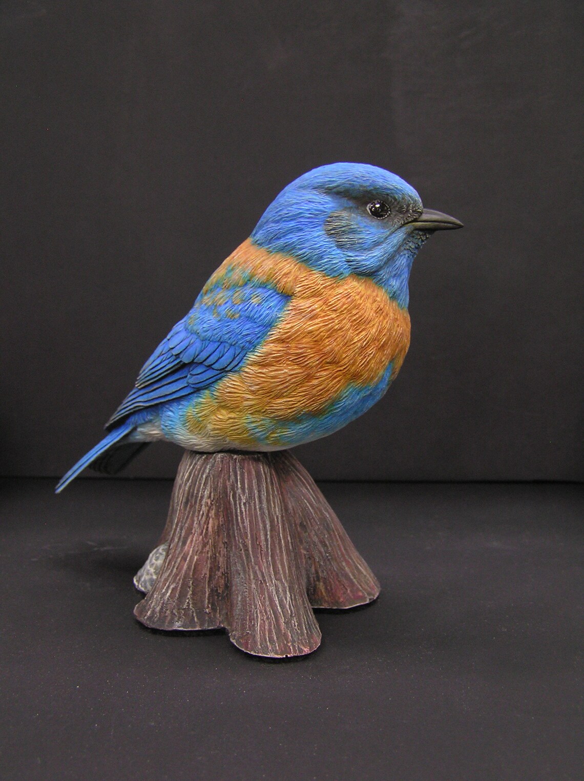 Western Bluebird - Hand Painted - Cold Cast - Bird - Life Size - by ...
