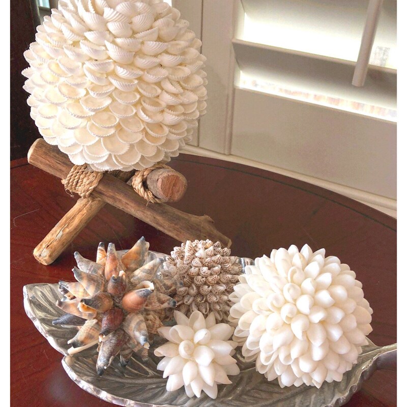 Oyster Shell Ball - Etsy