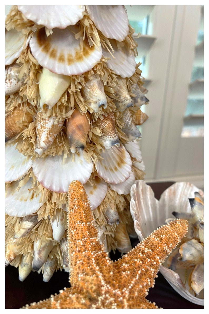 Shell Tree… Double Layer Love - Etsy