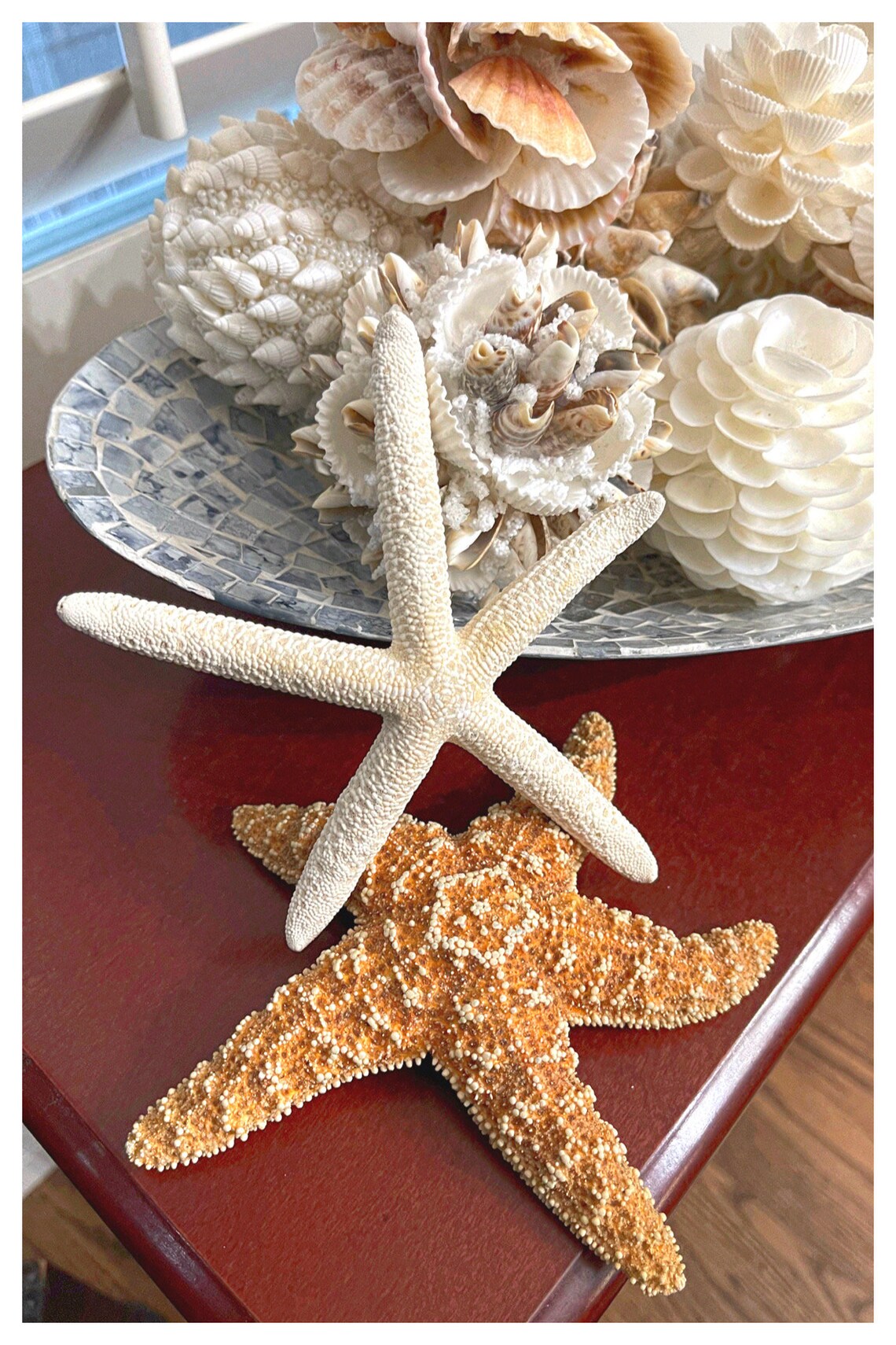 Shell Ball Settreasure Trove - Etsy