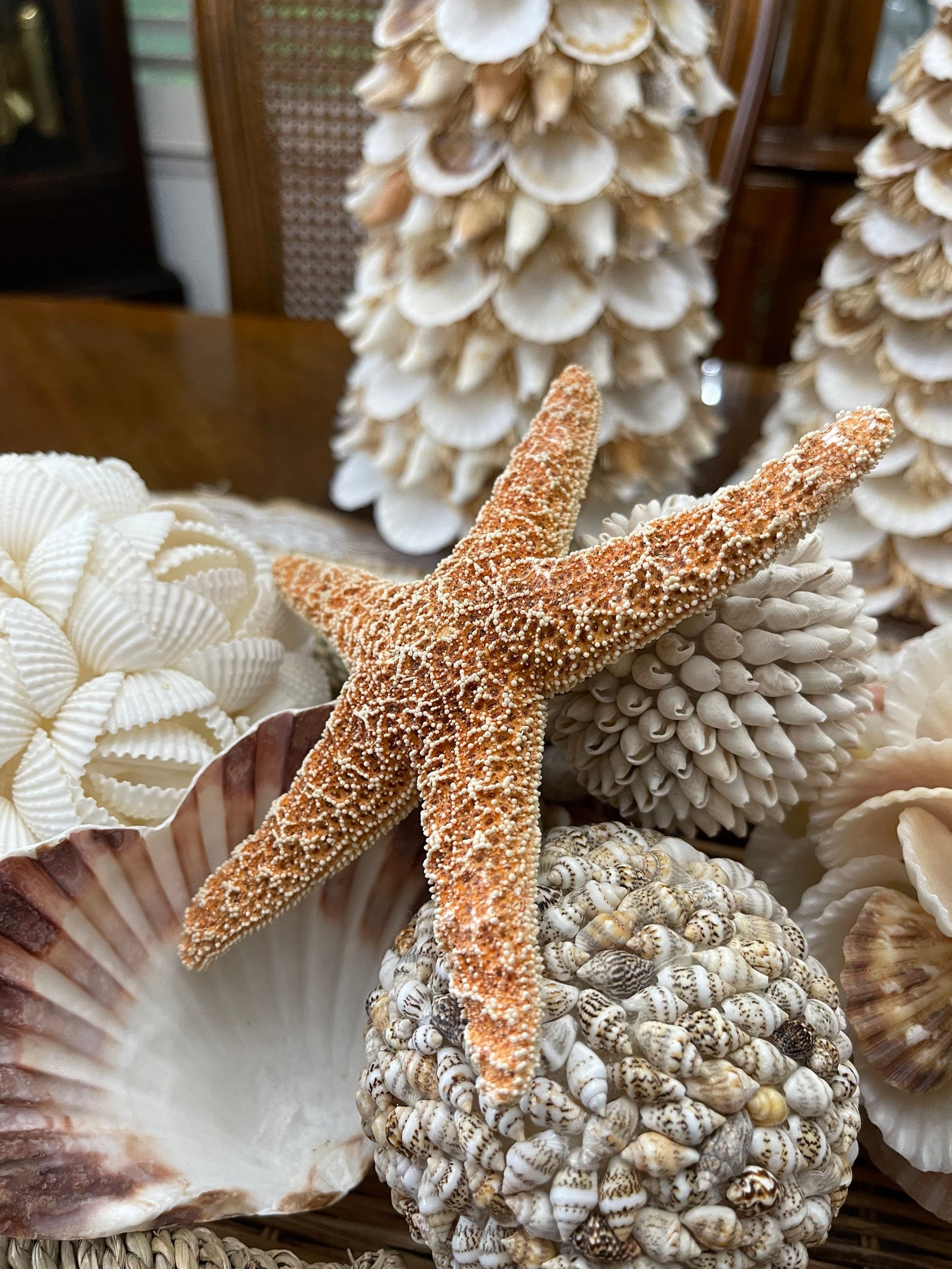 Shell Ball Set…big Island Tray - Etsy