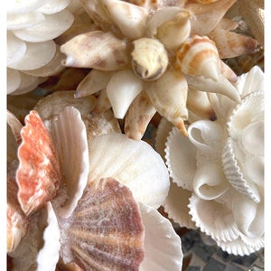 Shell Ball Set…treasure Trove - Etsy
