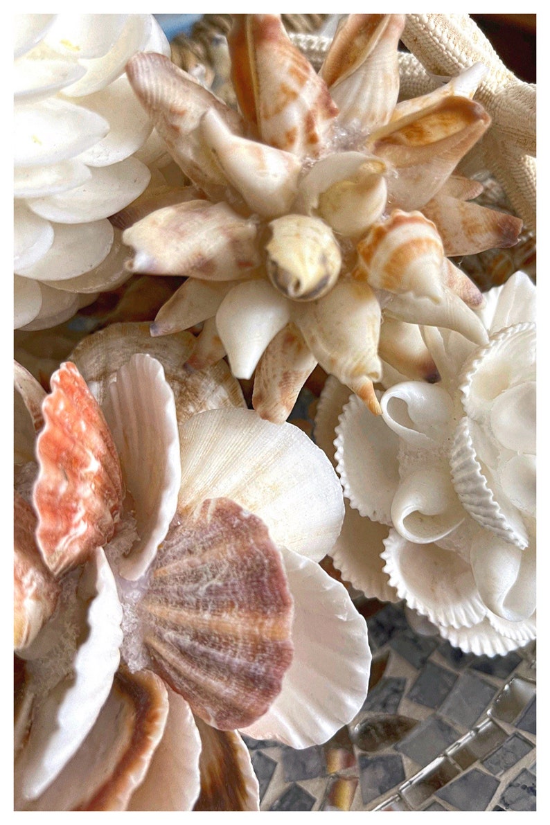 Shell Ball Set…treasure Trove - Etsy