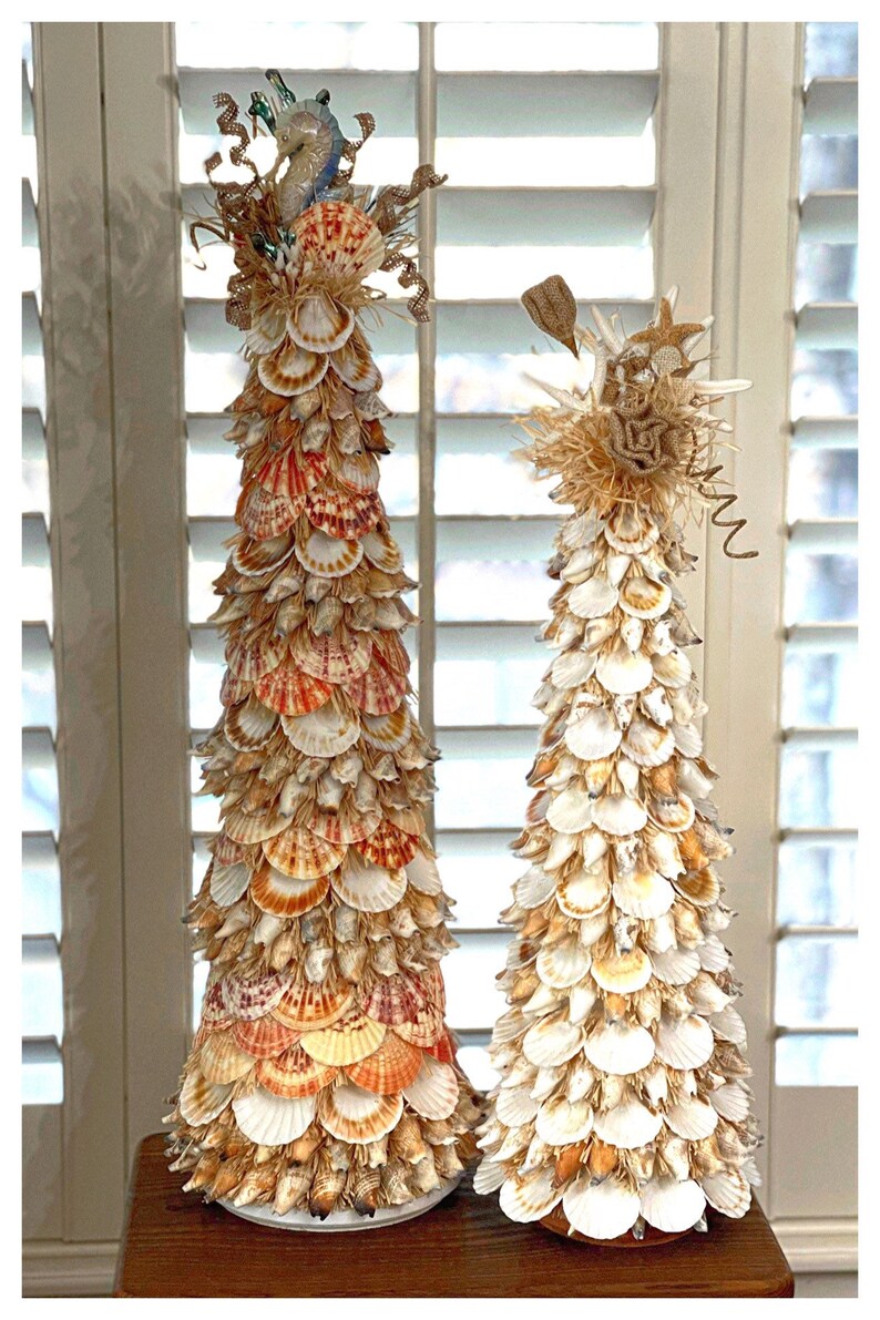 Shell Tree…colorful Sunburst - Etsy