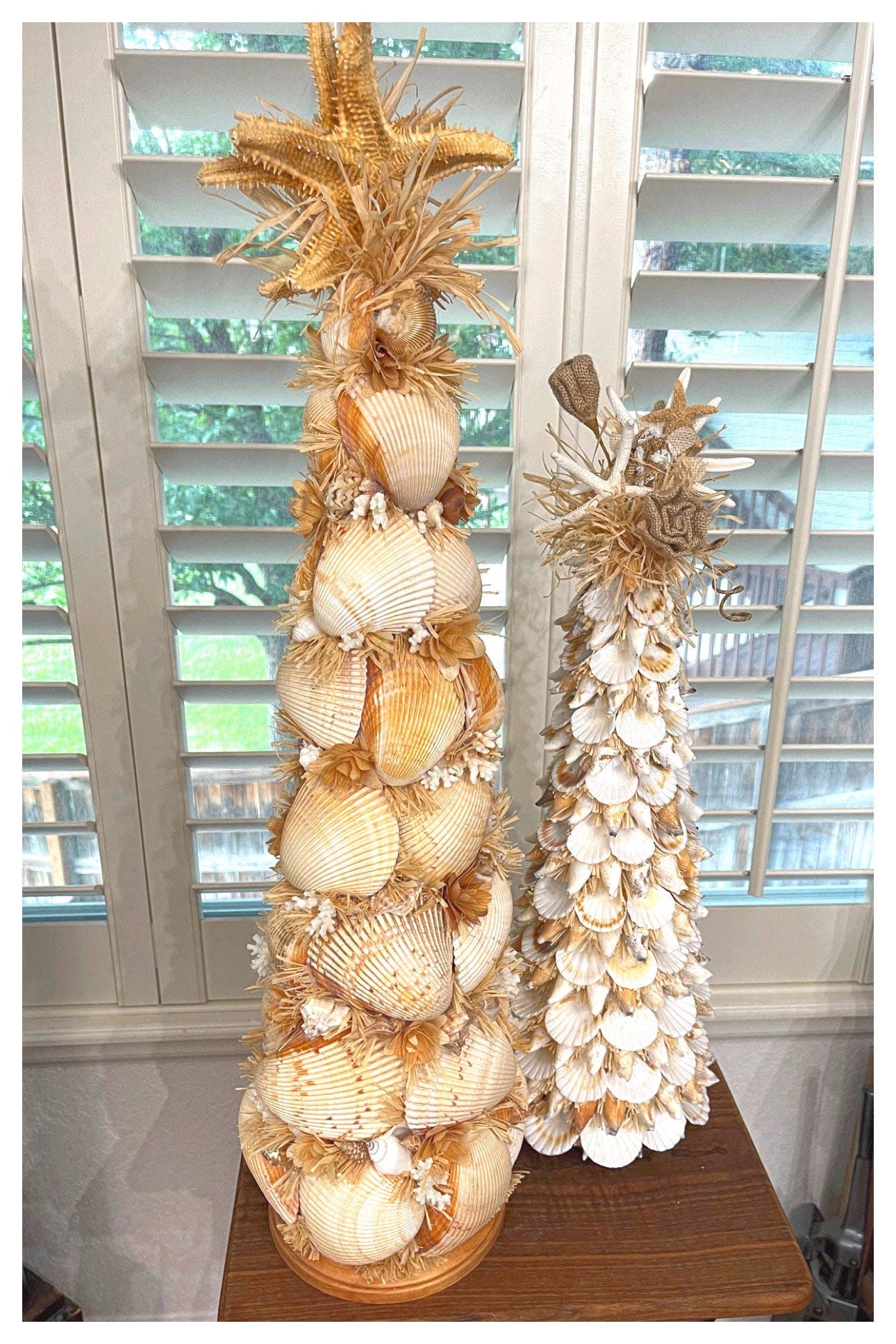 Shell Tree Padre Island Treasure - Etsy