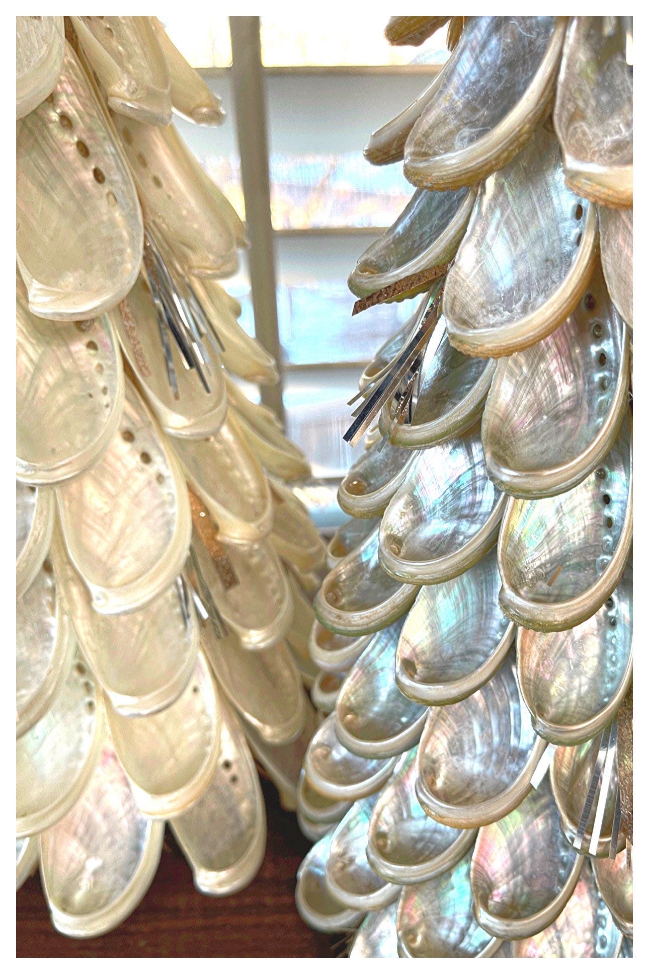 Abalone Shell Trees… I Want Both - Etsy