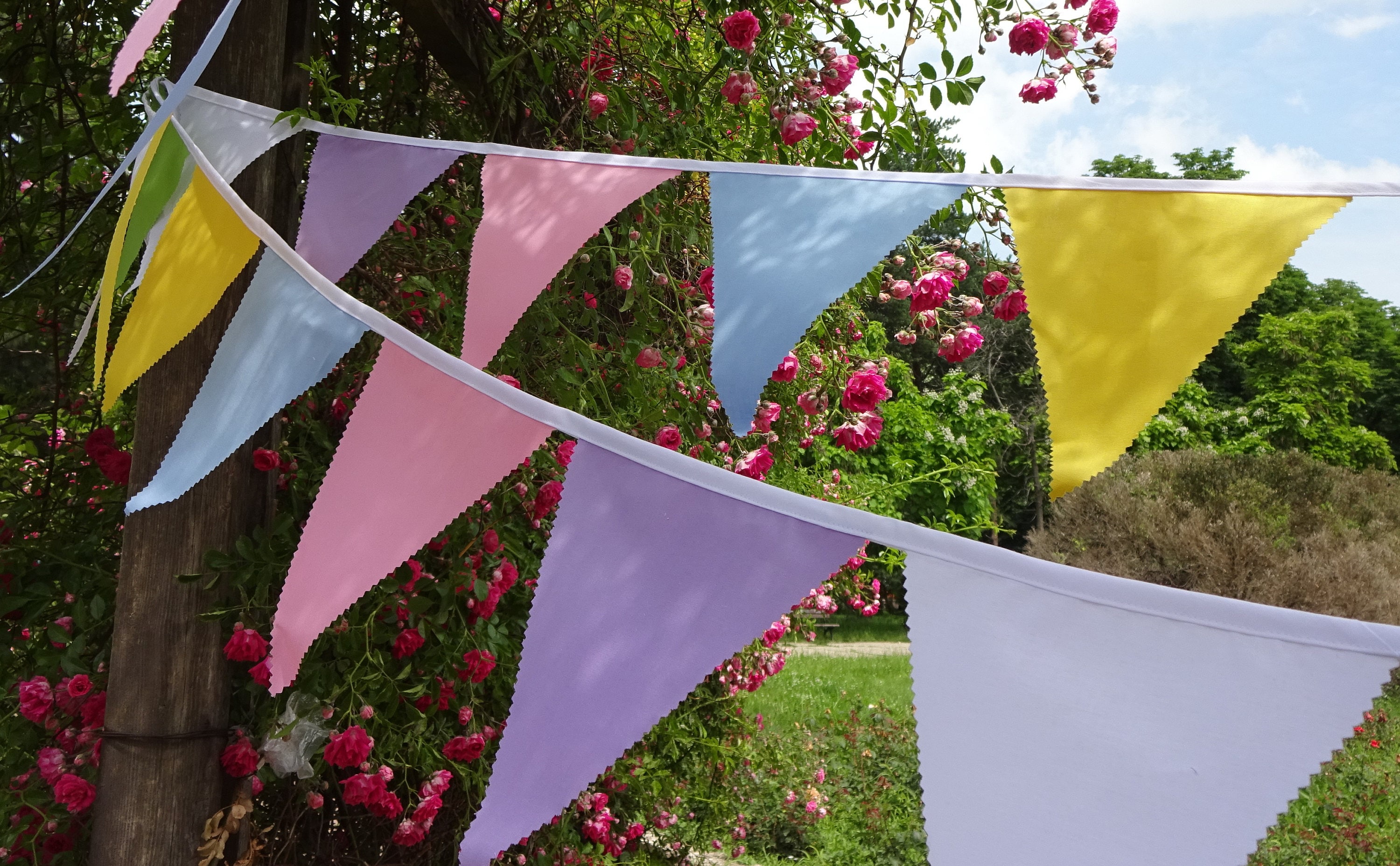 Wedding Banting, Banner, Flags, Garlands, Multi Coloured Banting ...