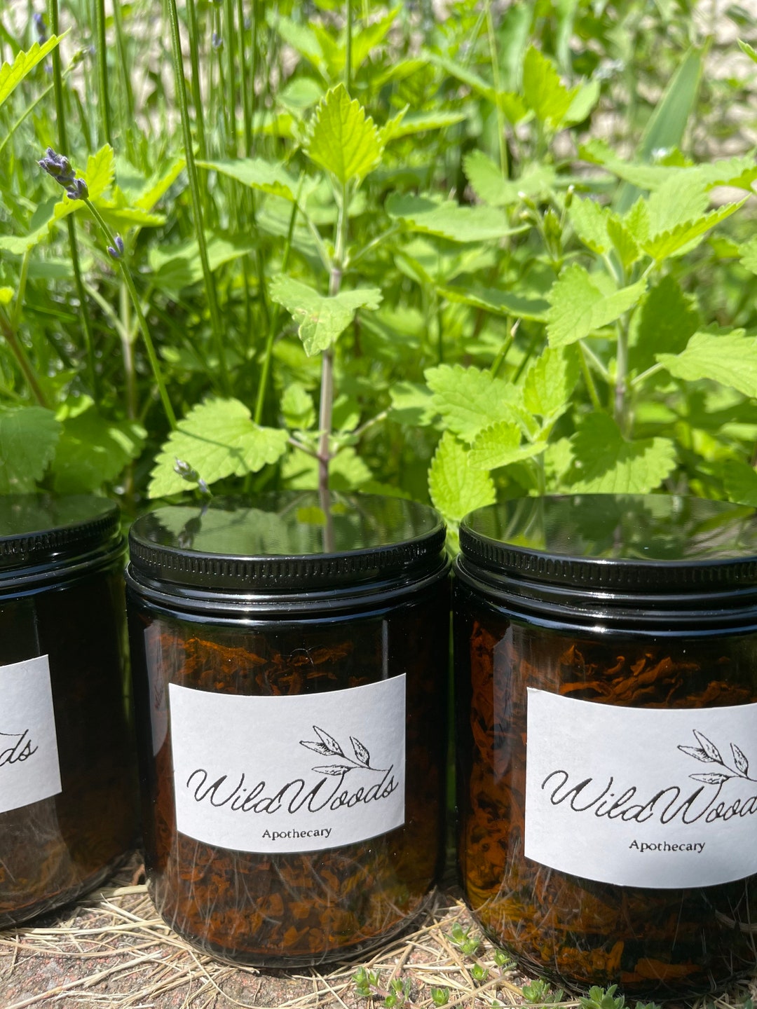 Catnip With Infused Toy - Etsy