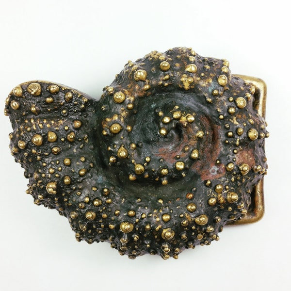 Seashell Belt - Etsy