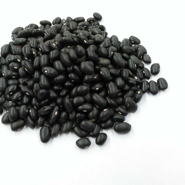 Black Turtle Beans - Etsy