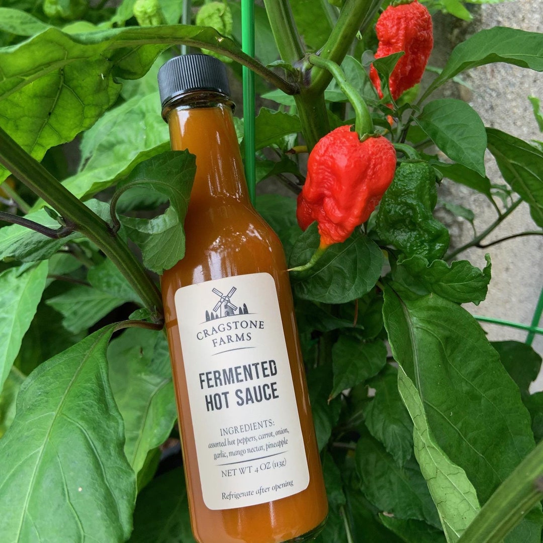 Fermented Hot Sauce From Homegrown Super Hot Peppers - Etsy