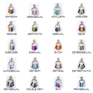 Customizable Mismatch Pride Stud Earrings Ace, Bi, Pan, Poly, Trans ...