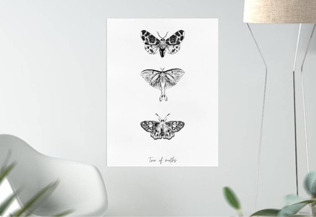 Printable Moth Wall Art - Etsy