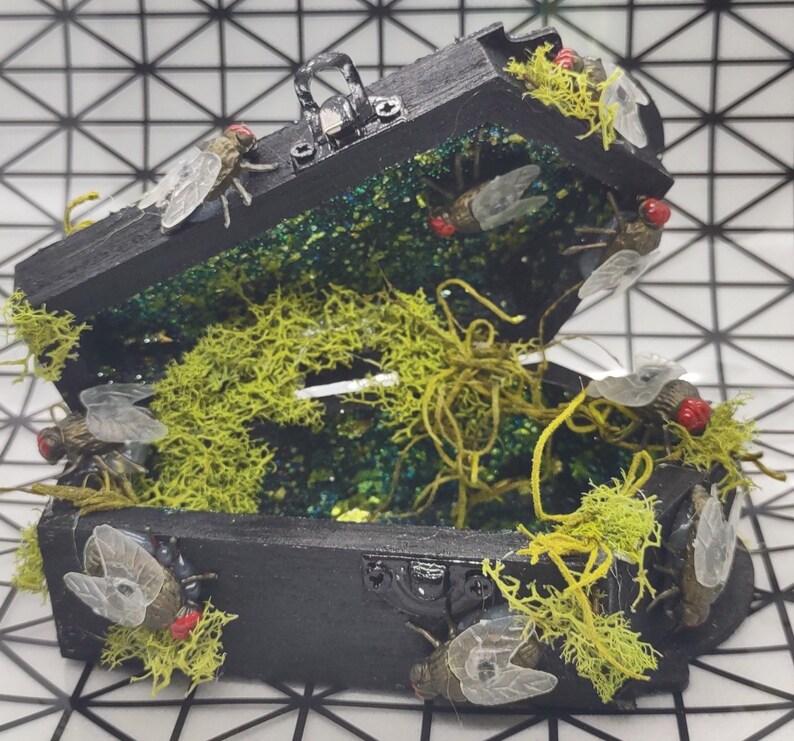 Curiosity Coffin Halloween Decorations Spooky Decor Halloween - Etsy