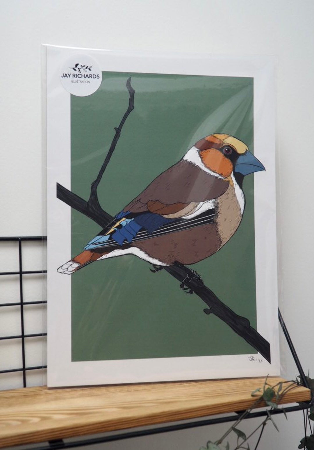 A4 Hawfinch Print Illustration Art Print - Etsy