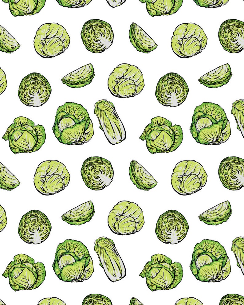 80% off Sale Cabbage Pattern Including Seamless. Cabbage Vector ...