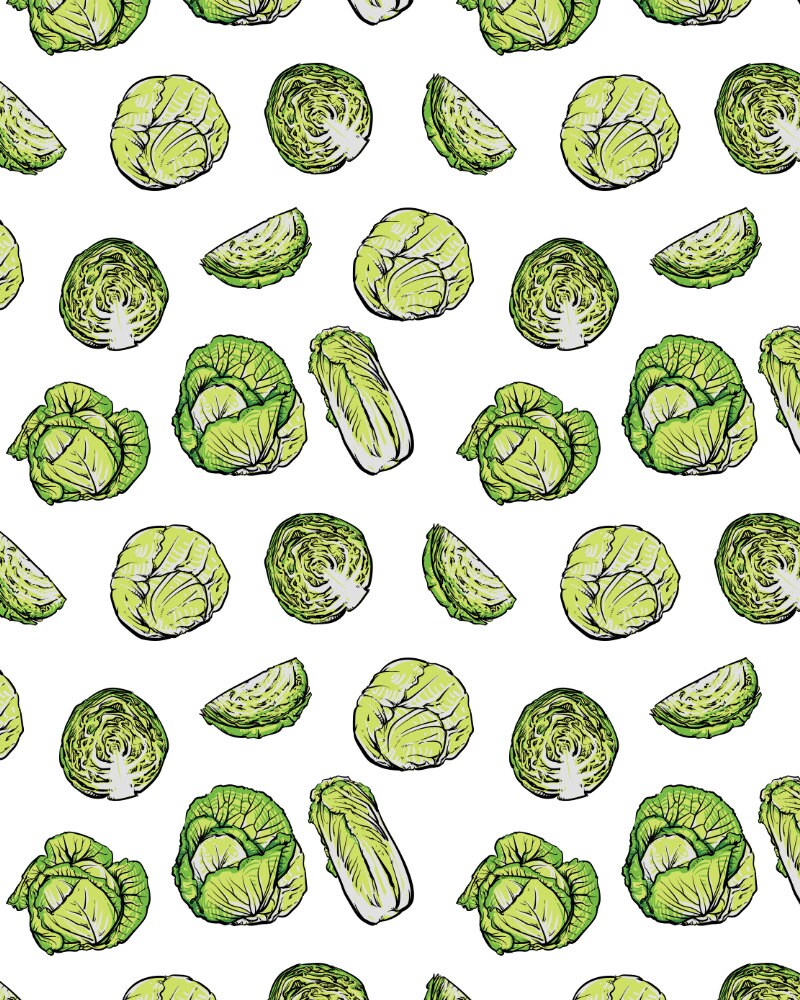 80% off Sale Cabbage Pattern Including Seamless. Cabbage Vector ...