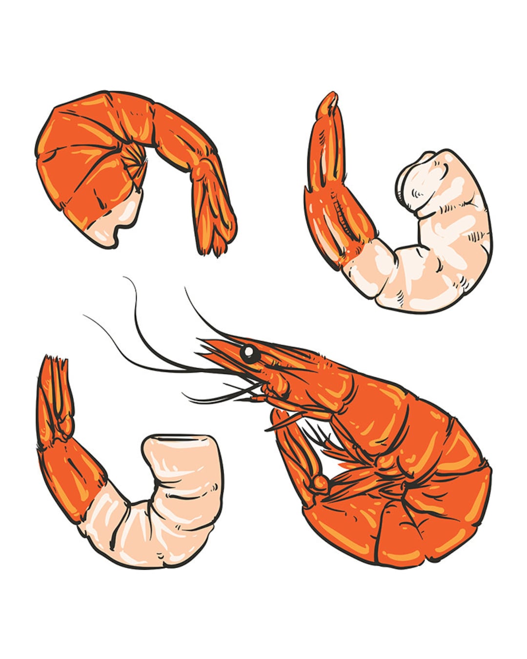 80% off Sale Seafood Cocktail Drawing. Shrimp for a Party or Dinner ...