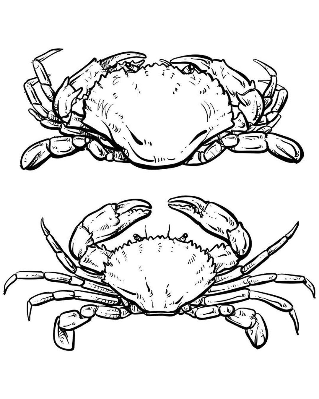 80% off Sale Vector Crab Drawing. Hand Drawn Outline Seafood ...